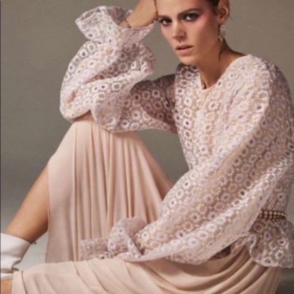 Zara | Tops | Nwt Zara Embroidered Sheer Top | Poshmark